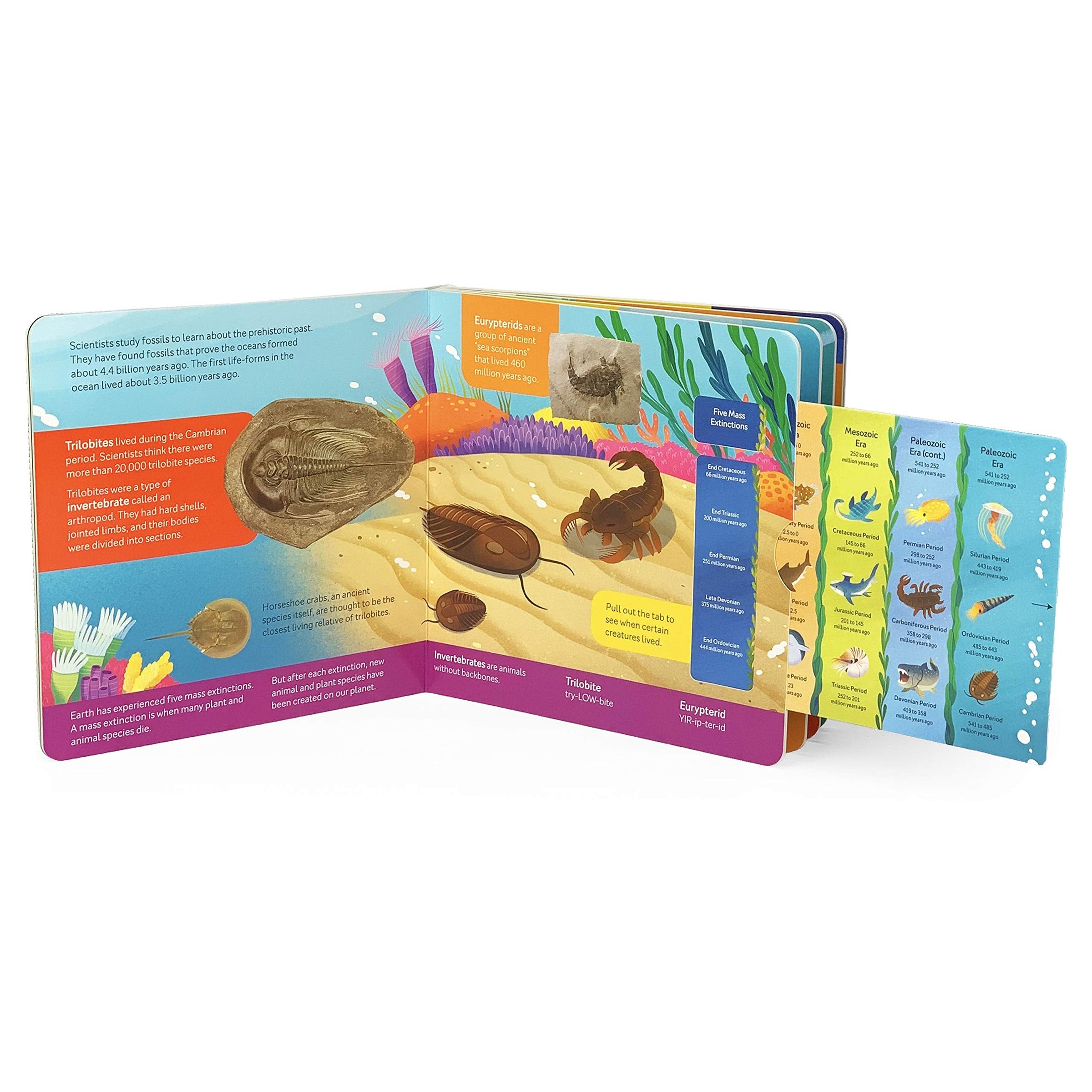 Cottage Door Press: Smithsonian Kids: Prehistoric Deep Sea Board Book