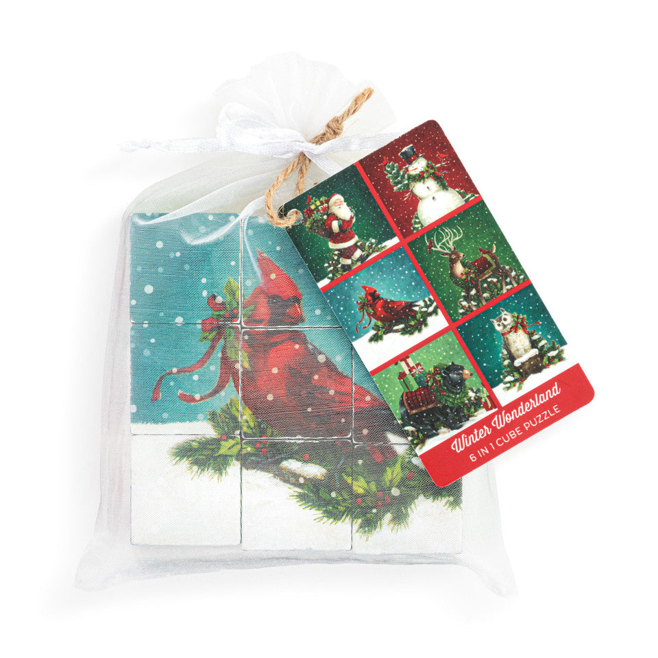 Demdaco Winter Wonderland 6-in-1 Cube Puzzle
